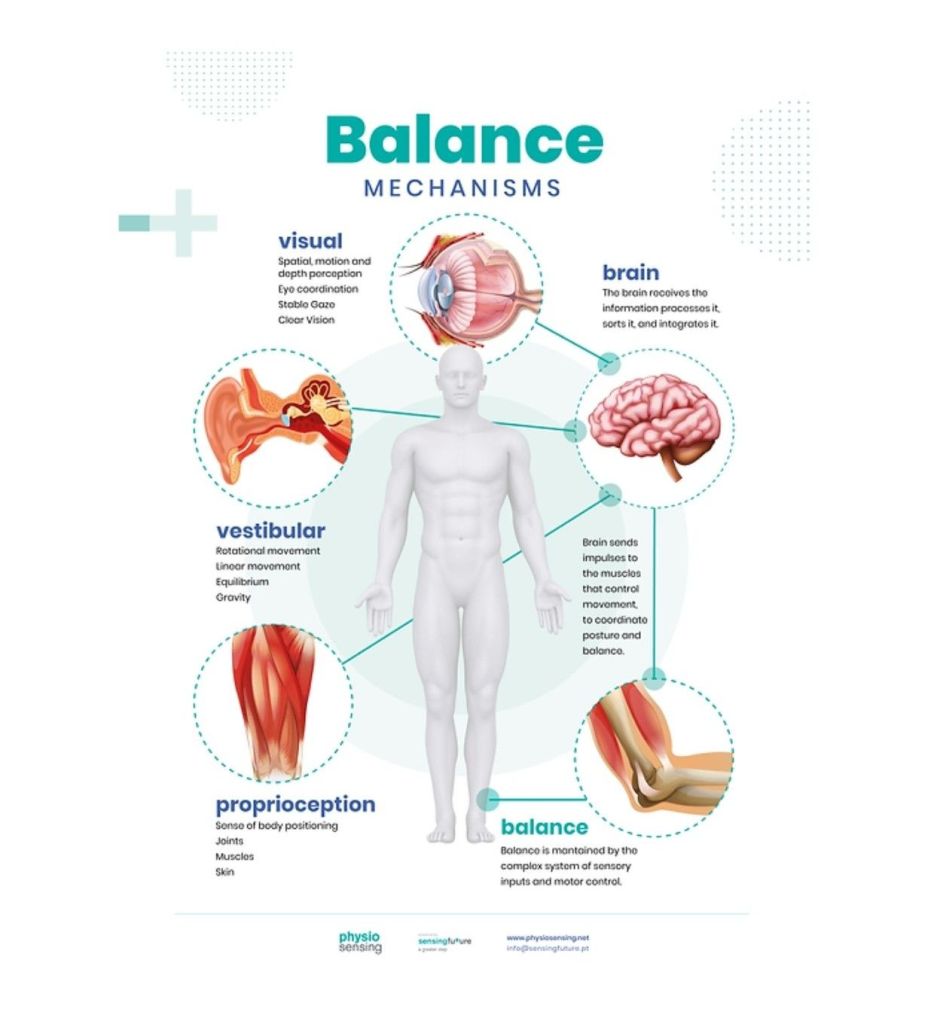 "Unlocking the Secrets of Proprioception and the Vestibular System ...
